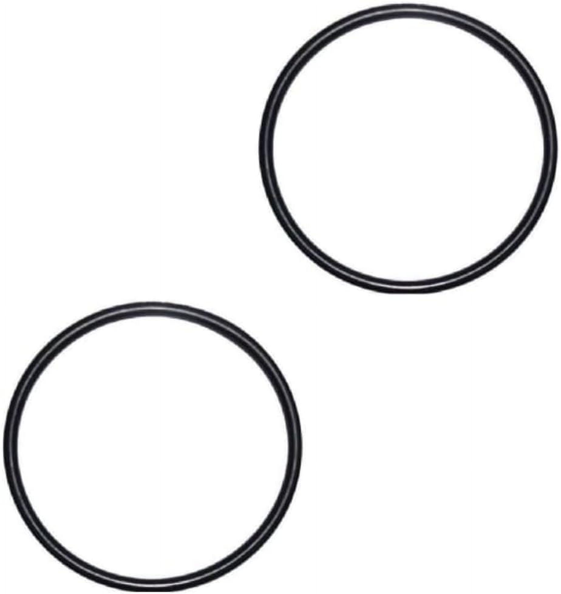 Magic Plastics 2 Inch Pump Union Oring 2 Pack 100480 - Walmart.com