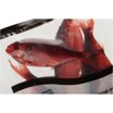 DMF Bait Co. 18 Garlic Canadian Nightcrawlers, Fishing Live Bait ...