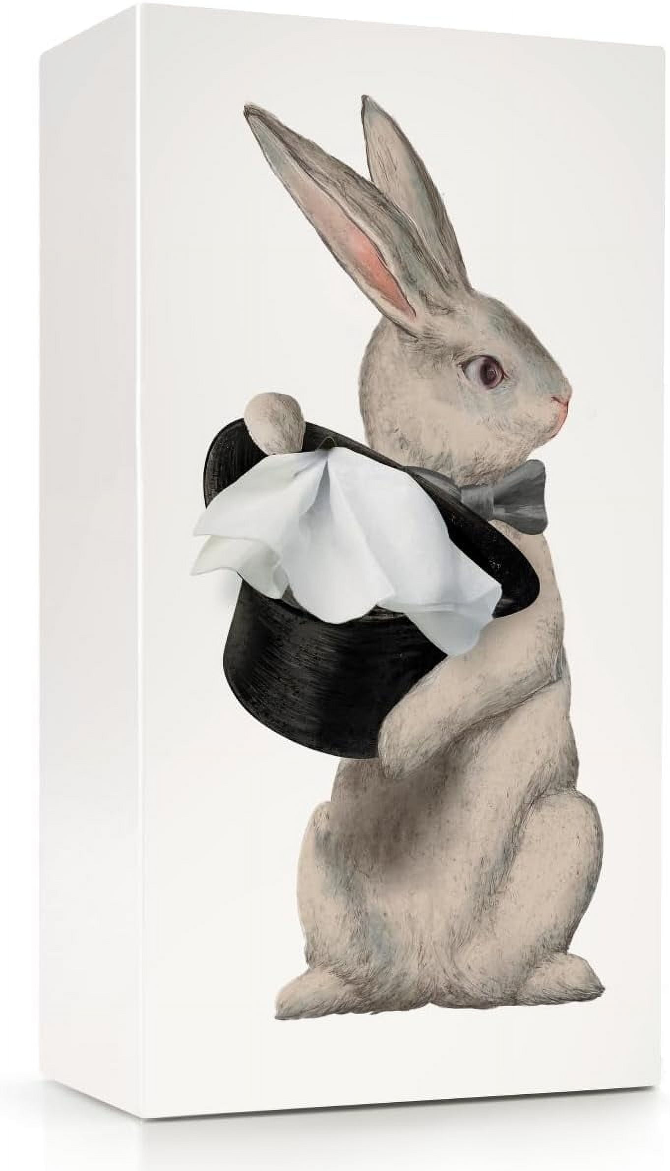 Magic Rabbit Tissue Box (2024 New) - Whimsical Endless Magic Illusion ...