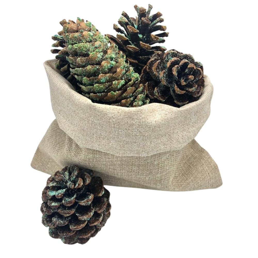 Magic Rainbow Flames - Flame Color Changing Pine Cones - Walmart.com