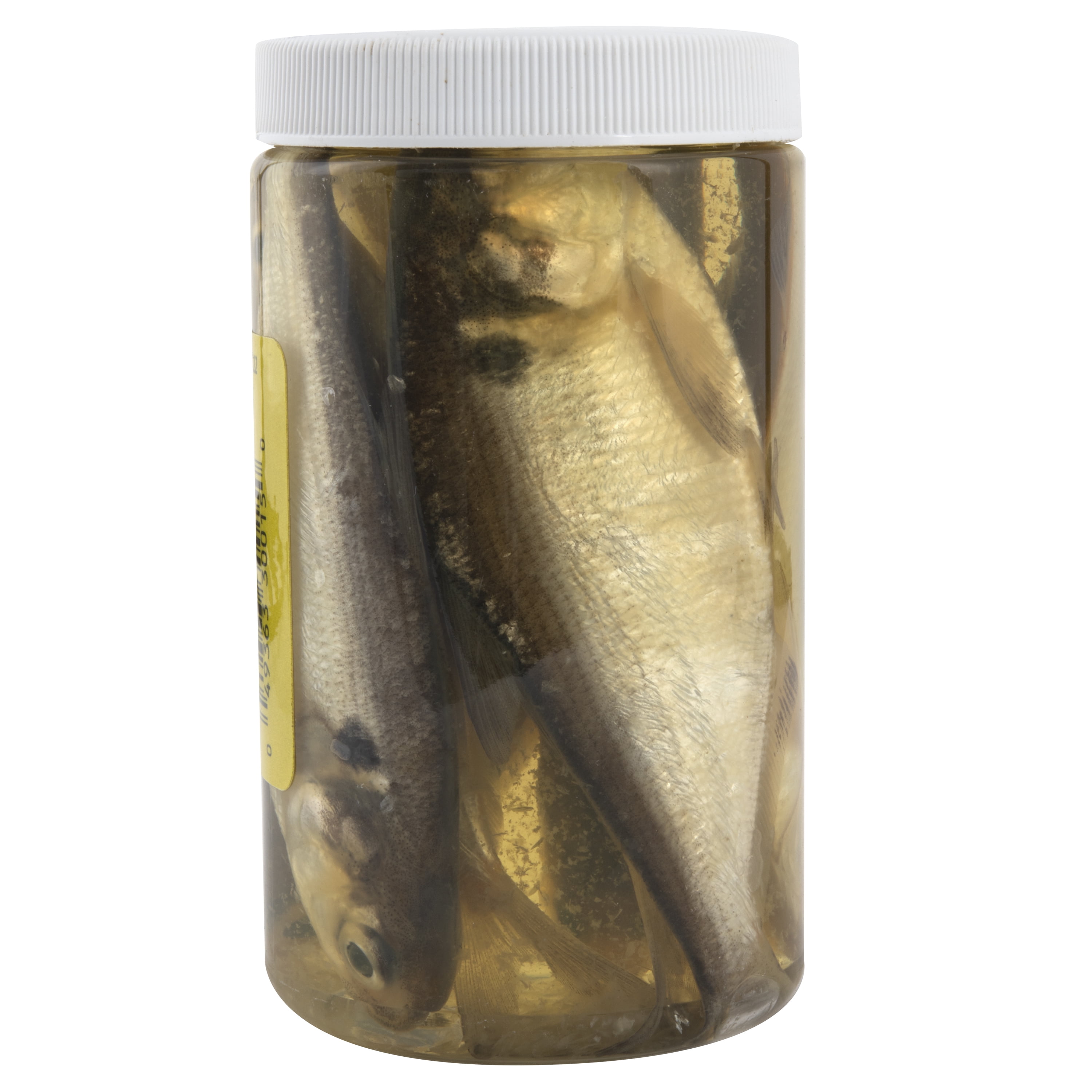 Magic Shad Natural Bait - Walmart.com