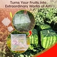 Magic Square-shaped Watermelon Shaping Growth Molds - Walmart.com Magic Square-shaped Watermelon Shaping Growth Molds - Walmart.com