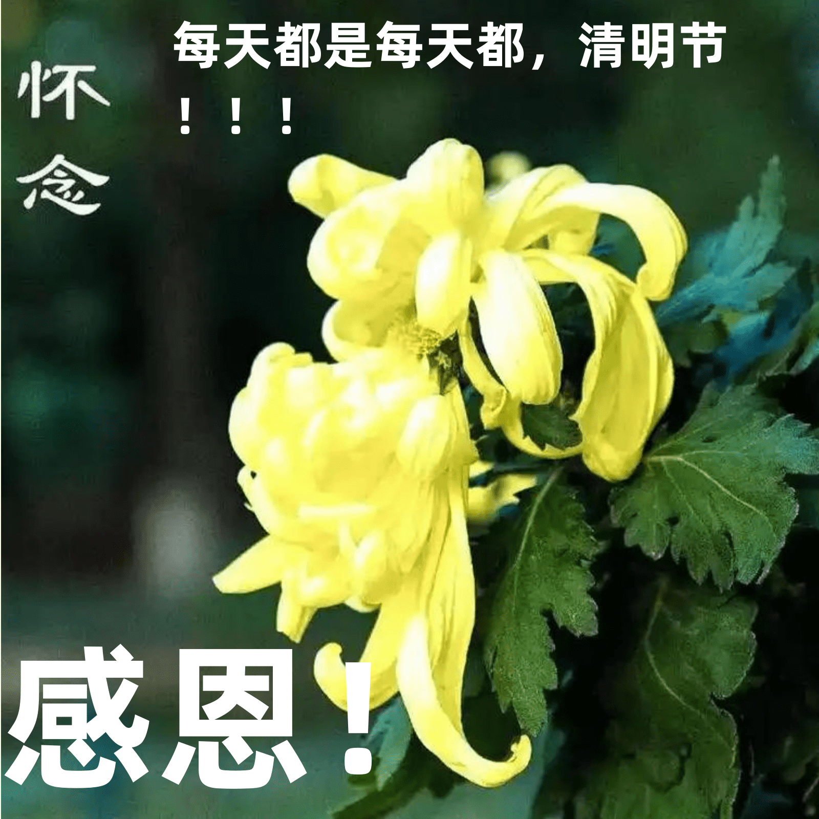 Magic Water Elf Toy Kit, Aqua Fairy Water Gel Kit with Magic Gels, 12 ...