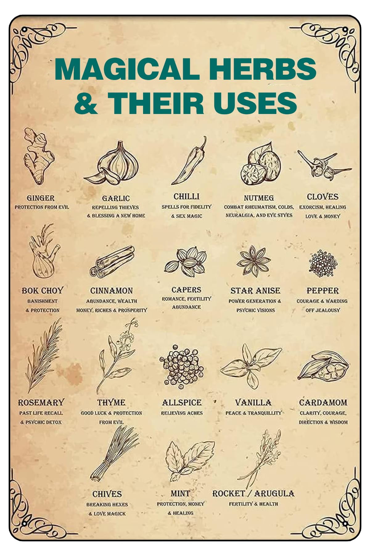 Magical Herbs And Their Uses Tin Signs Magic Knowledge Tin Signs Witchy ...