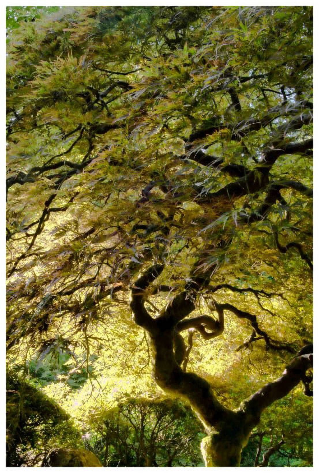 "Magical Tree" Painting Print on Canvas - Walmart.com