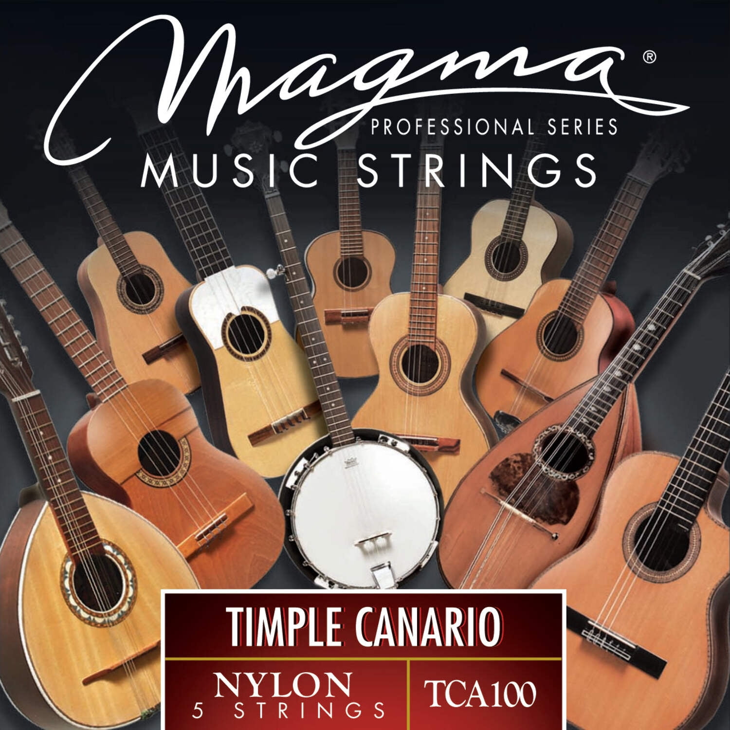 Magma TIMPLE CANARIO 5 Strings Special Nylon (TCA100) - Walmart.com