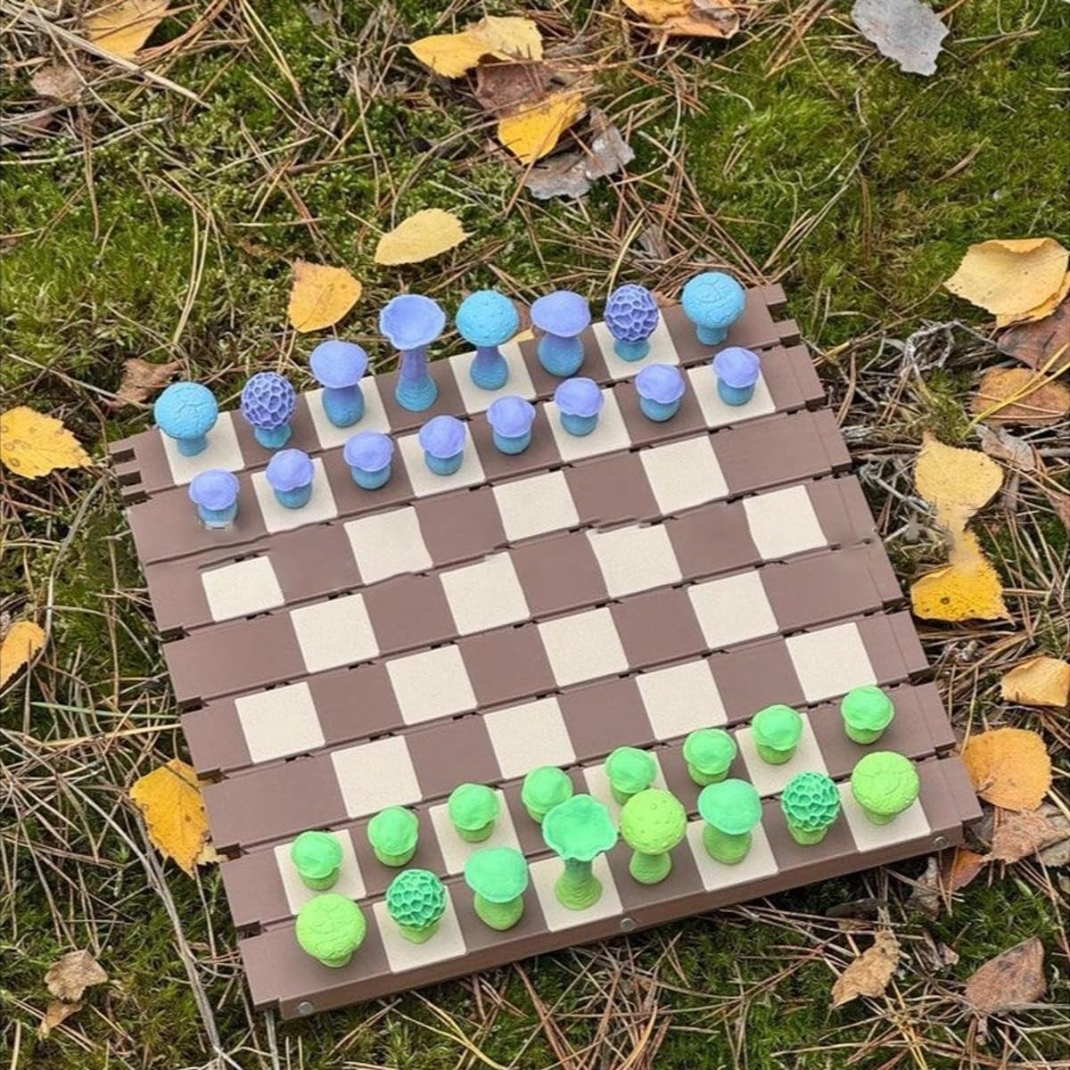 Magn-eti-c Forest Mushrooms Chess, Wooden Chess Board, Portable Forest ...