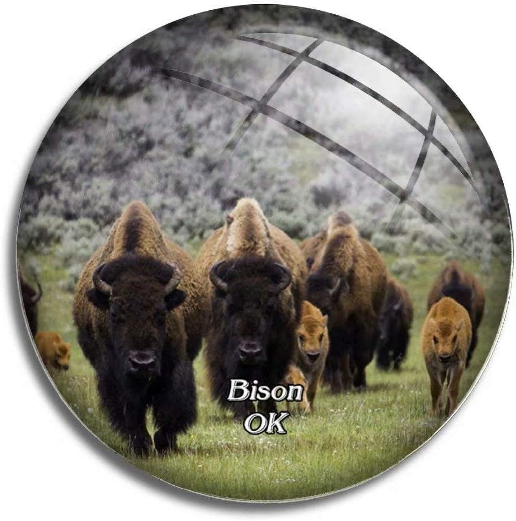 Magnet Block Island Lighthouse Rhode Island USA America Glass Magnets ...