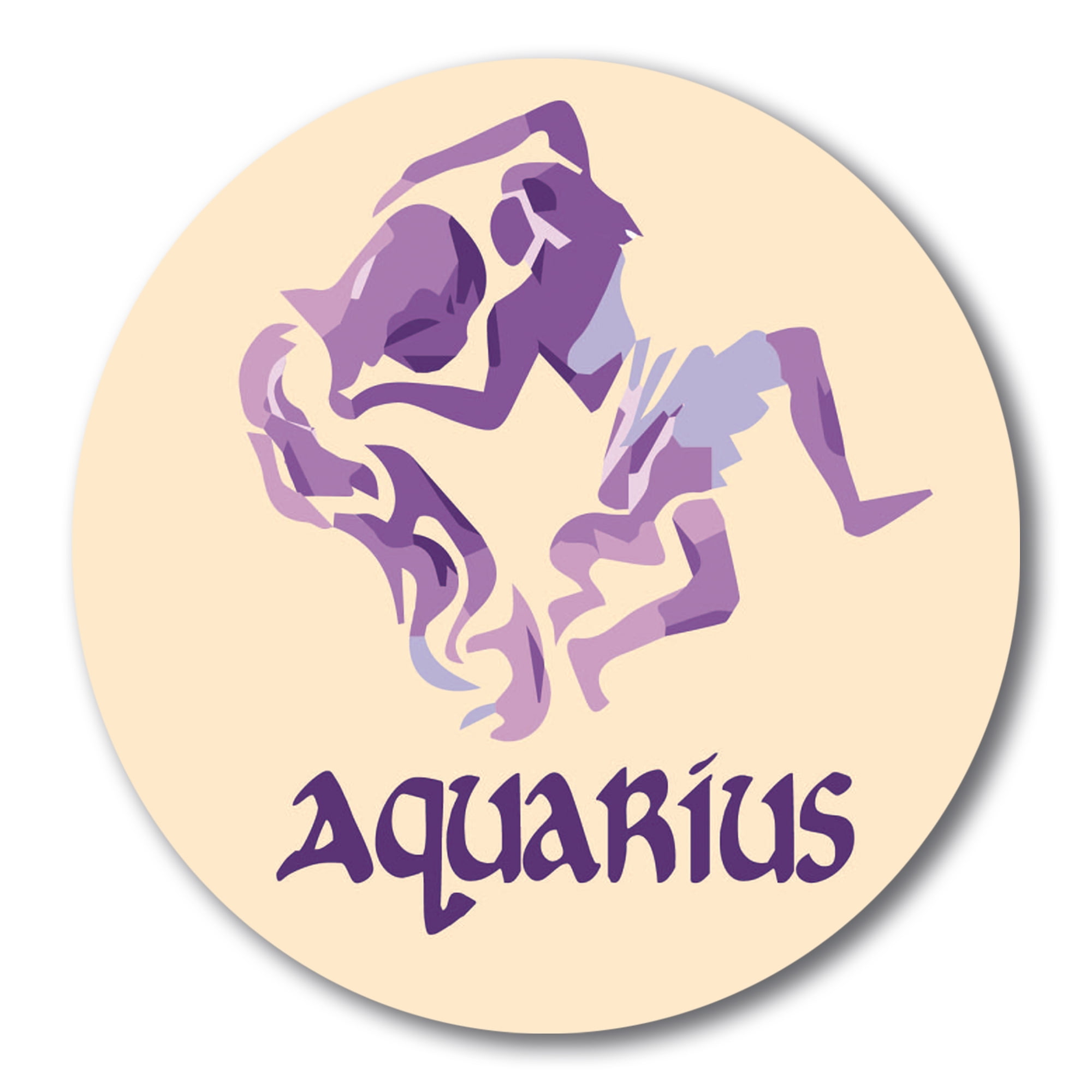 Magnet Me Up Aquarius Zodiac Sign Magnet Decal, 5 Inch Round, Vinyl ...