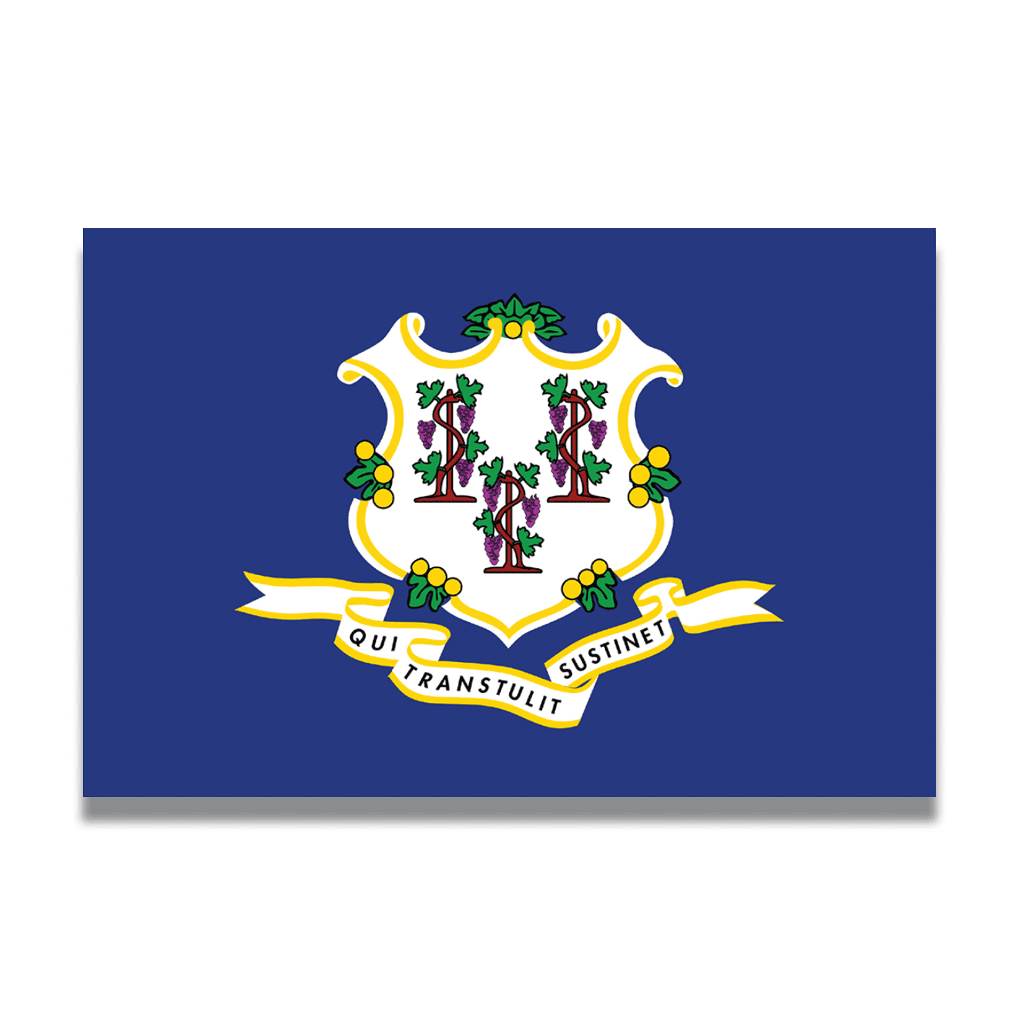 Magnet Me Up Connecticut US State Flag Vinyl Automotive Magnet Decal ...