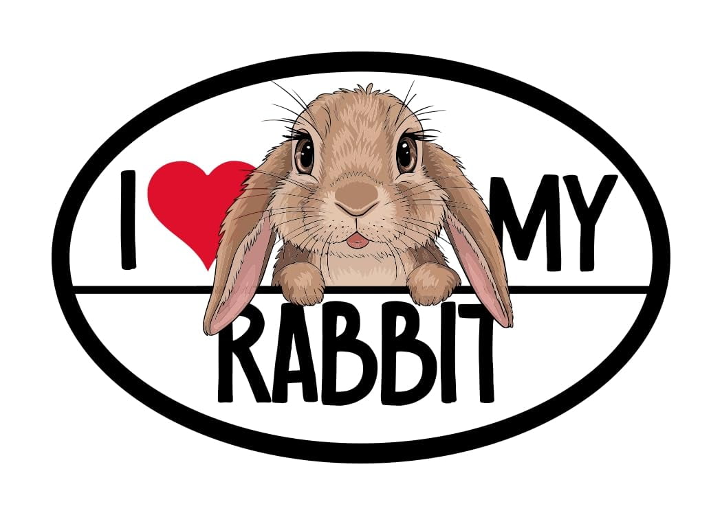 Magnet Me Up I Love My Rabbit Car Magnet Decal, 4x6 in, Charming Farm ...