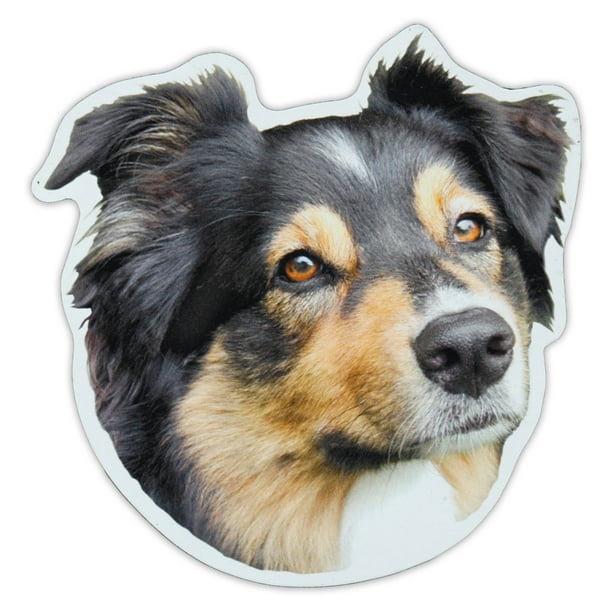 Magnetic Bumper Sticker - Australian Shepherd (Aussie) Dog Breed ...