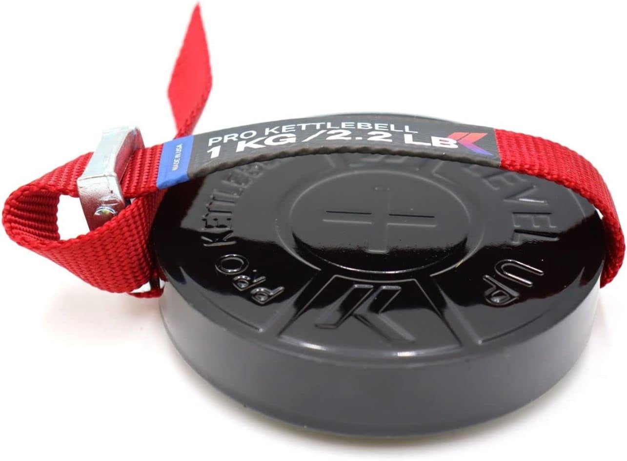 Magnetic Chip Weight Plate: Make your kettlebell, dumbbell, barbell ...