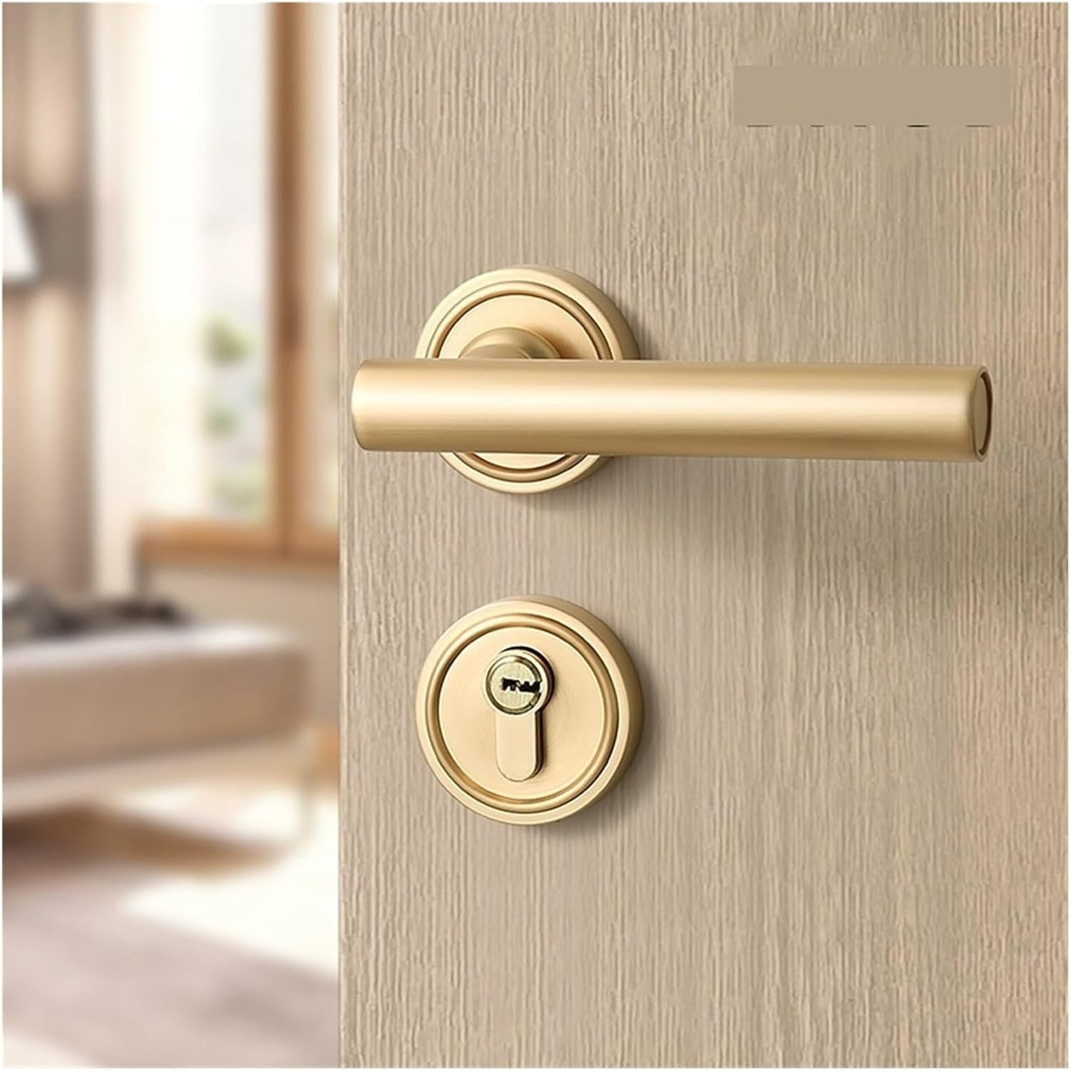 Magnetic Concierge Door Lock Indoor Black and Gray Bedroom Silent ...