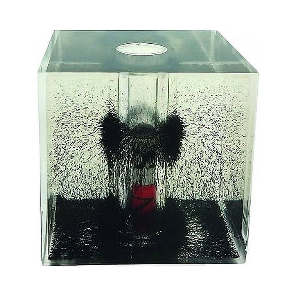 Magnetic Field Cube - Walmart.com