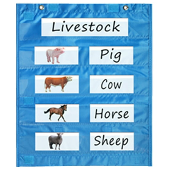 Magnetic Pocket Chart for Whiteboard, Magnetic Pocket Chart Squares for ...