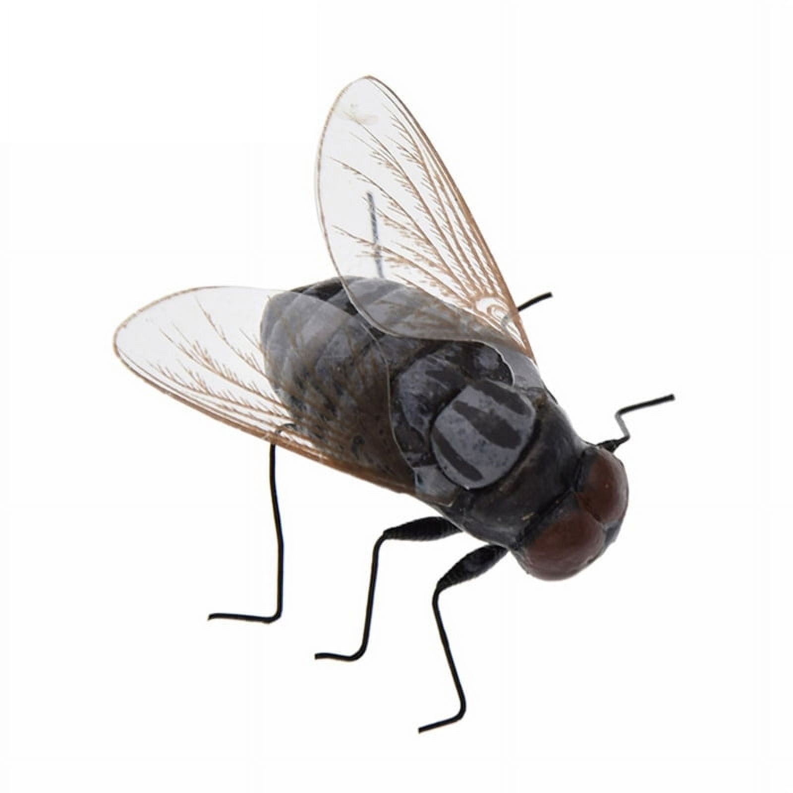 Magnetic Refrigerator Magnets High Simulated Flies Clay Magnet ...