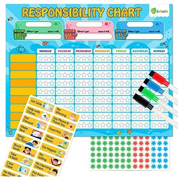 Magnetic Responsibility Chart, Chore Chart for Multiple Kids, My Star ...