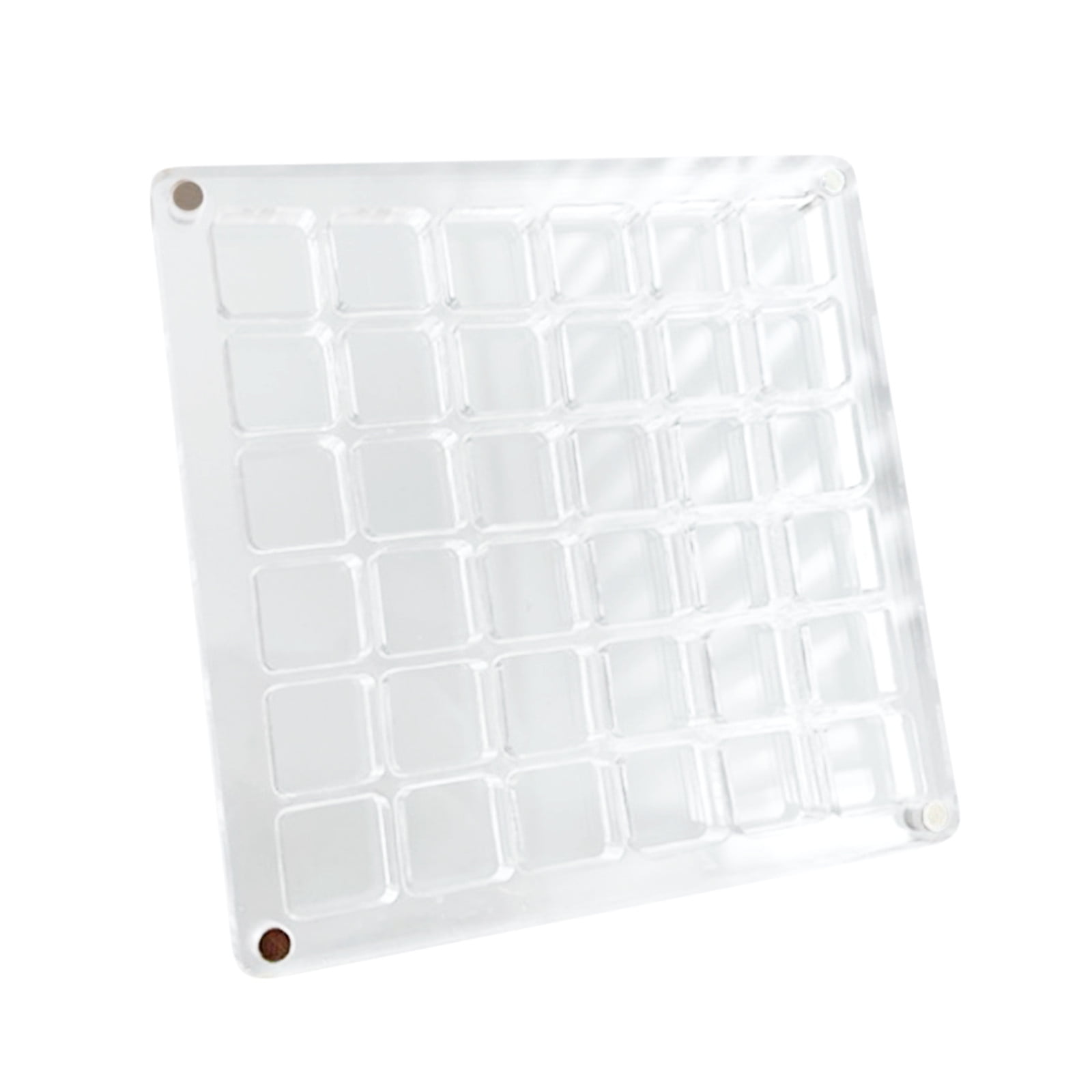 Magnetic Seashell Display Box - Clear Jewelry Organizer Case for Shells ...