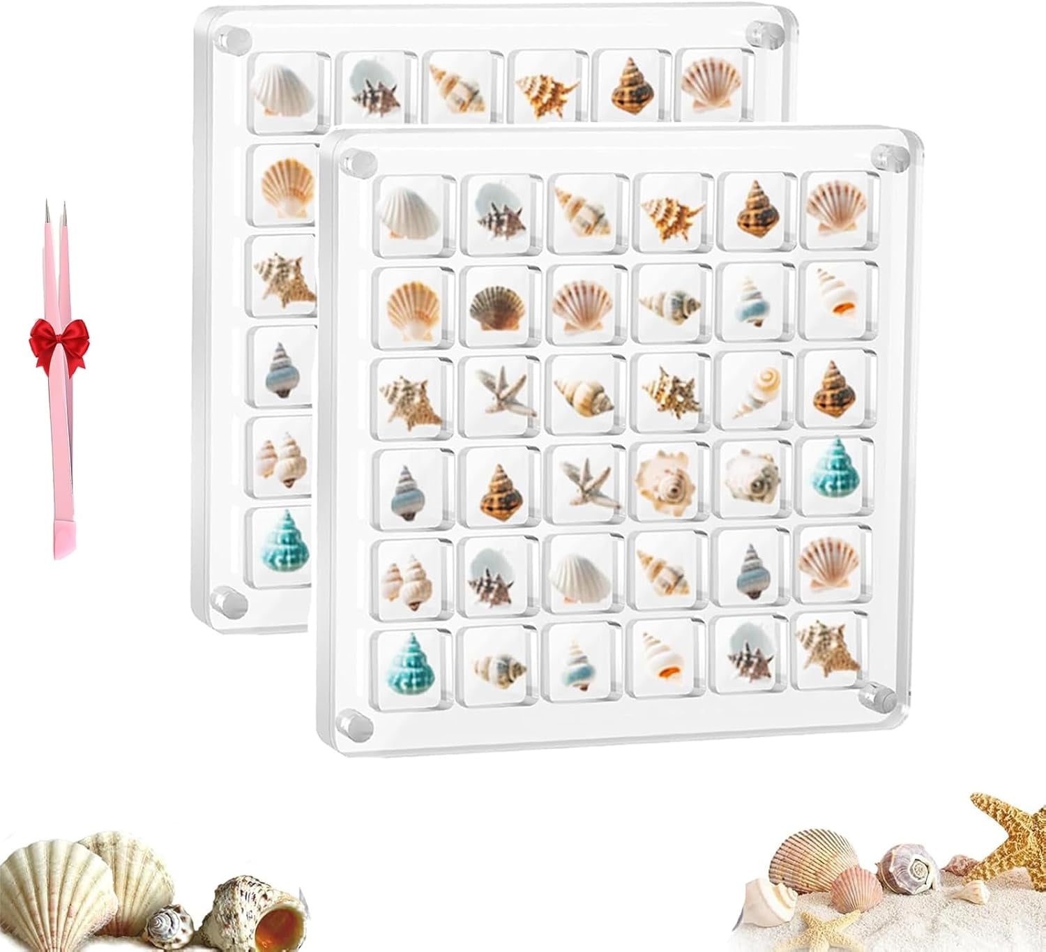 Magnetic Seashell Display Case Clear Acrylic Seashell Display Case with ...