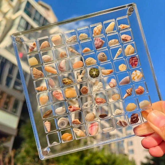 Acrylic Magnetic Seashell Display Box, Transparent Organizer Storage ...