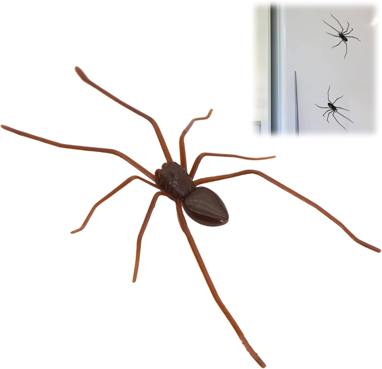 Magnetic Spider, Realistic 3D Spider Fridge Magnet, Plastic Spider as ...