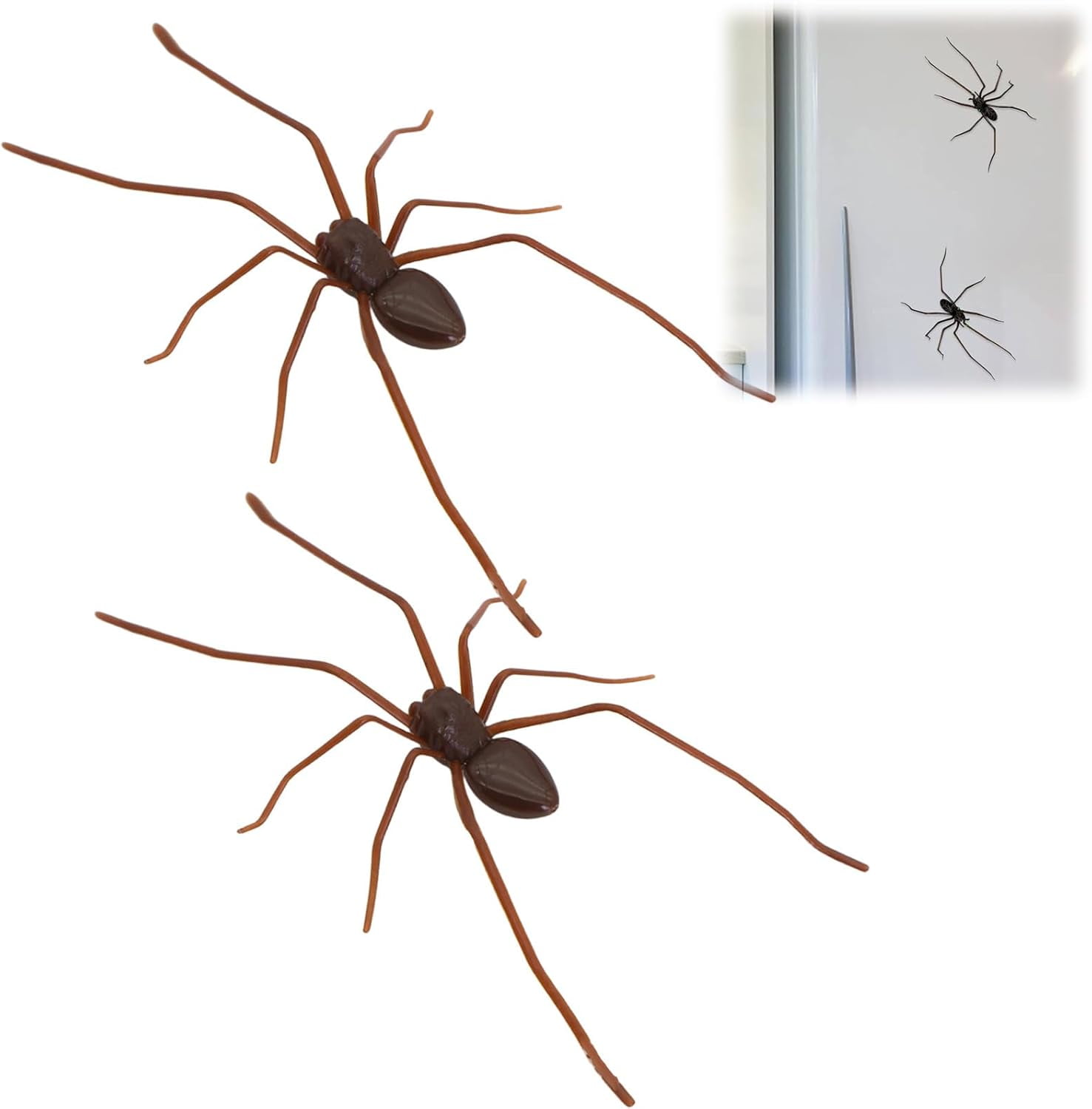 Magnetic Spider, Realistic 3D Spider Fridge Magnet, Plastic Spider as ...
