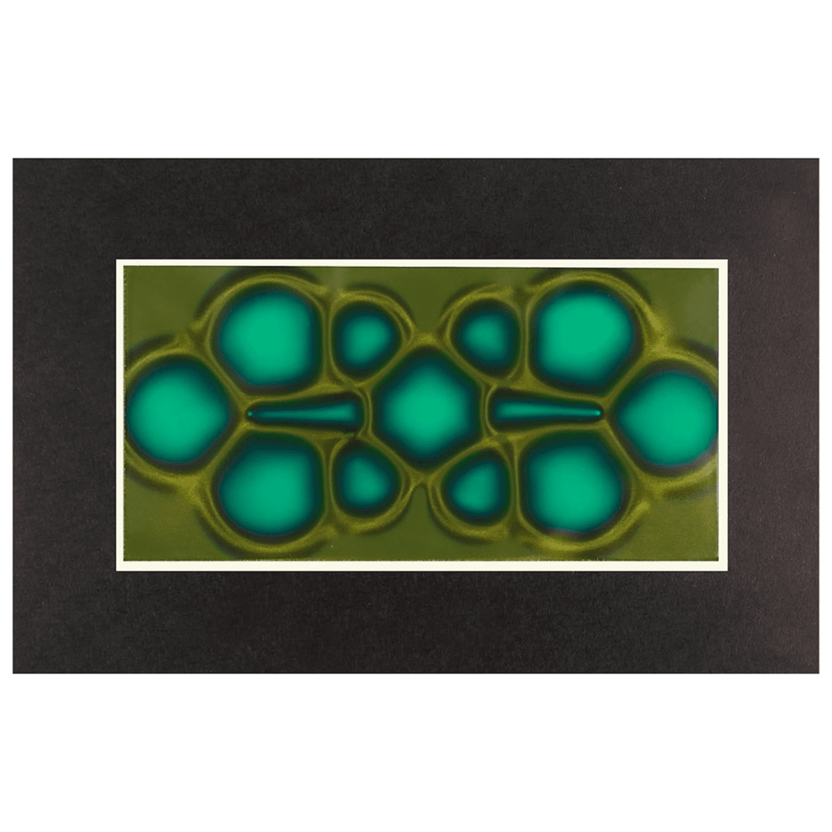 Magnetic Viewing Film, 2inchx 4inch Field Viewer for Scientific ...