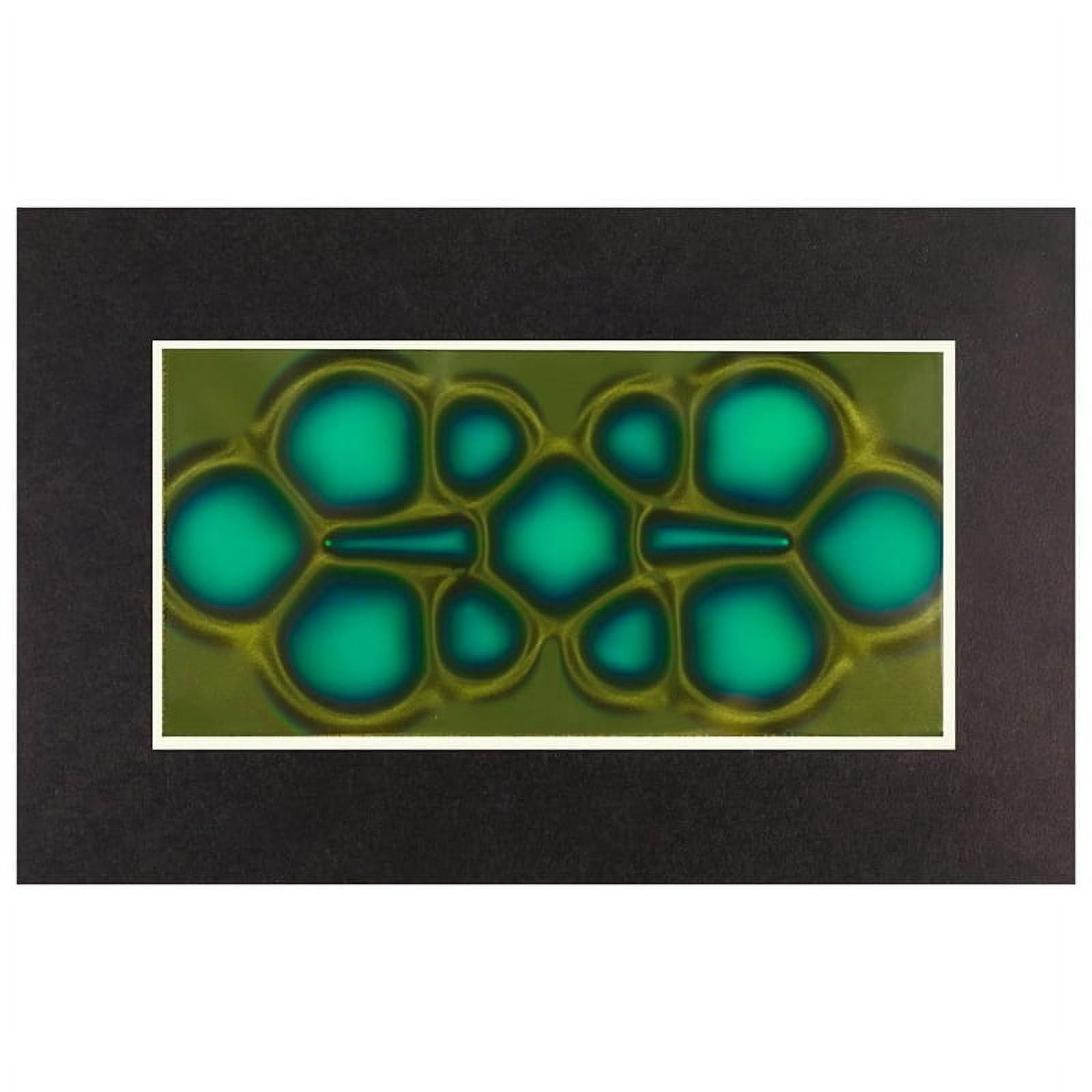 Magnetic Viewing Film, 2inchx 4inch Magnetic Field Viewer for ...