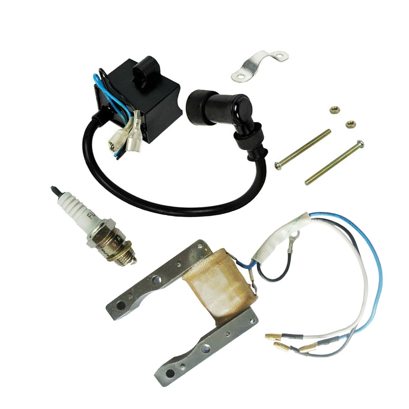 Magneto Coil CDI Ignition Coil System for 2 Stroke 48cc 49cc 66cc 80cc ...