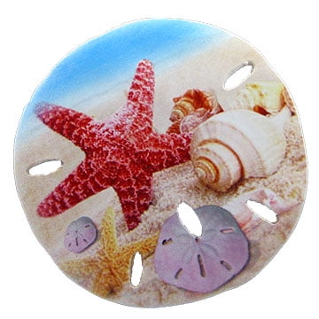 Magnets IMP PR Sand Dol Shape Sand Dollar Shape with ShellsImprintables ...