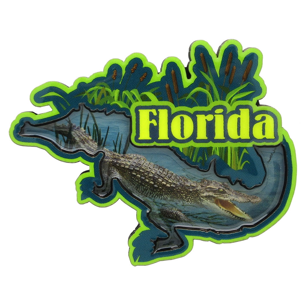 Magnets MDF 3D Magnet Gator scene in Silhouette Florida General ...