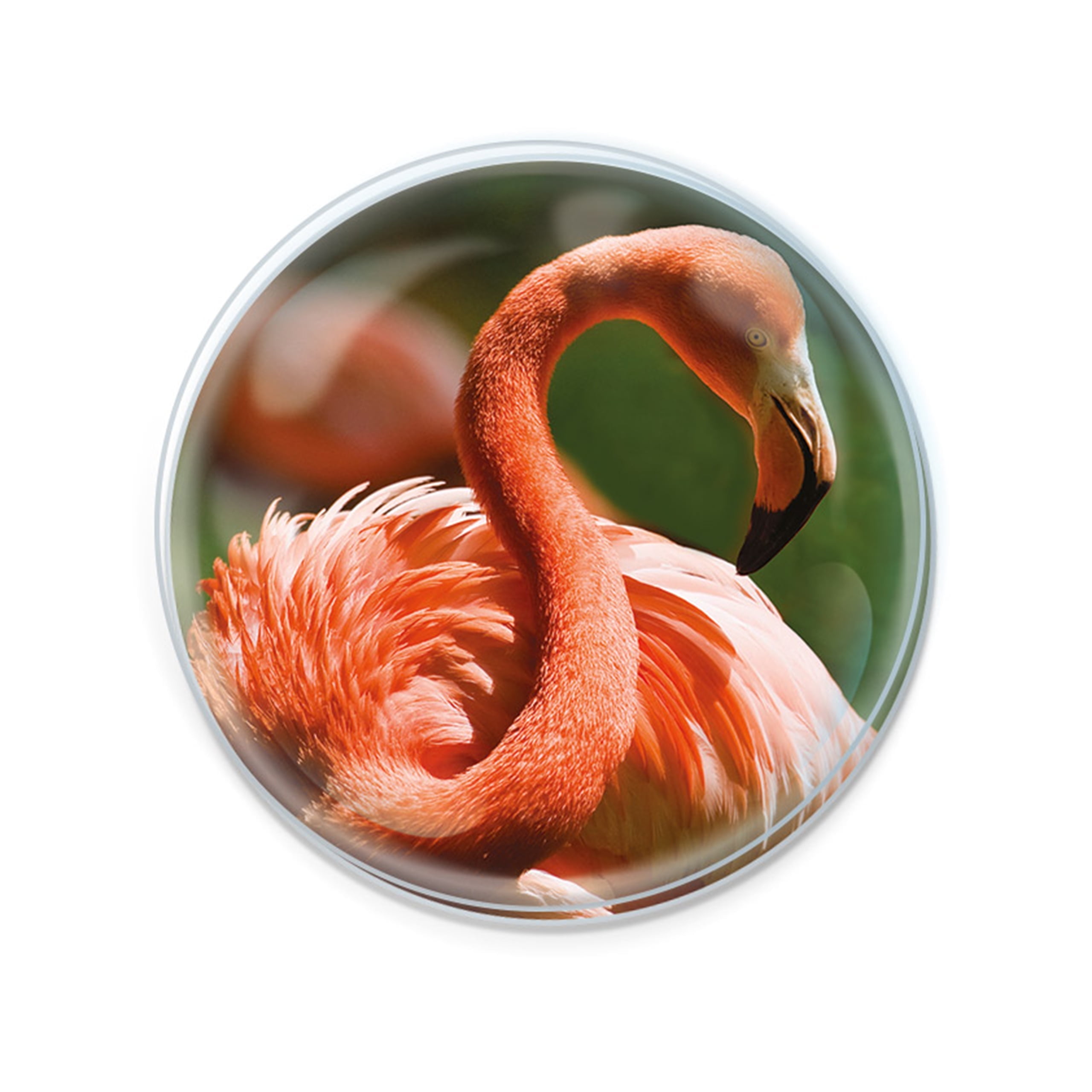 Magnidome Flamingo Magnet by Deluxebase – Crystal Glass Fridge Magnet ...