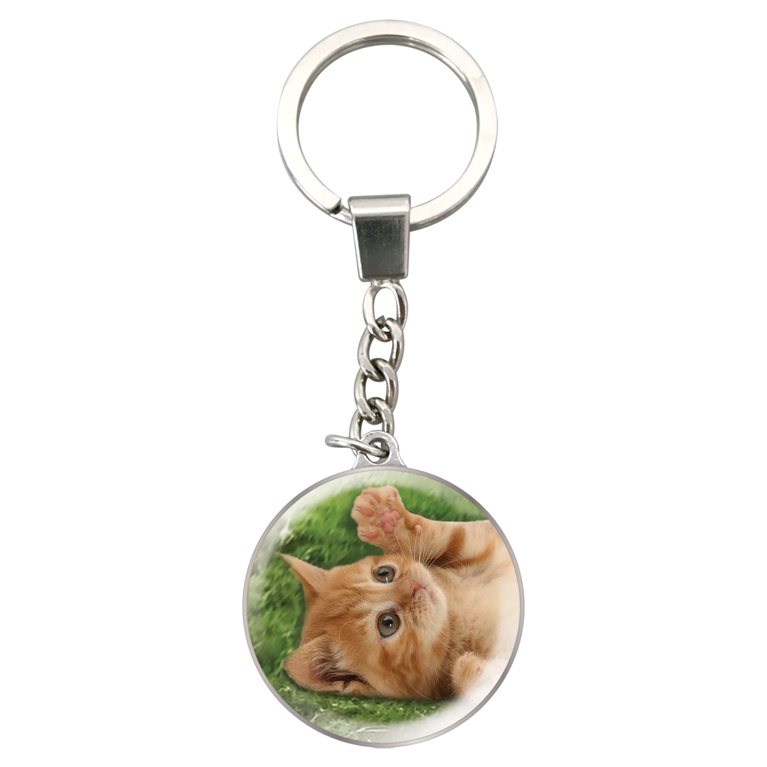 Magnidome Kitten Keychain by Deluxebase. Crystal Dome Key Ring with Stainless Steel Chain ...
