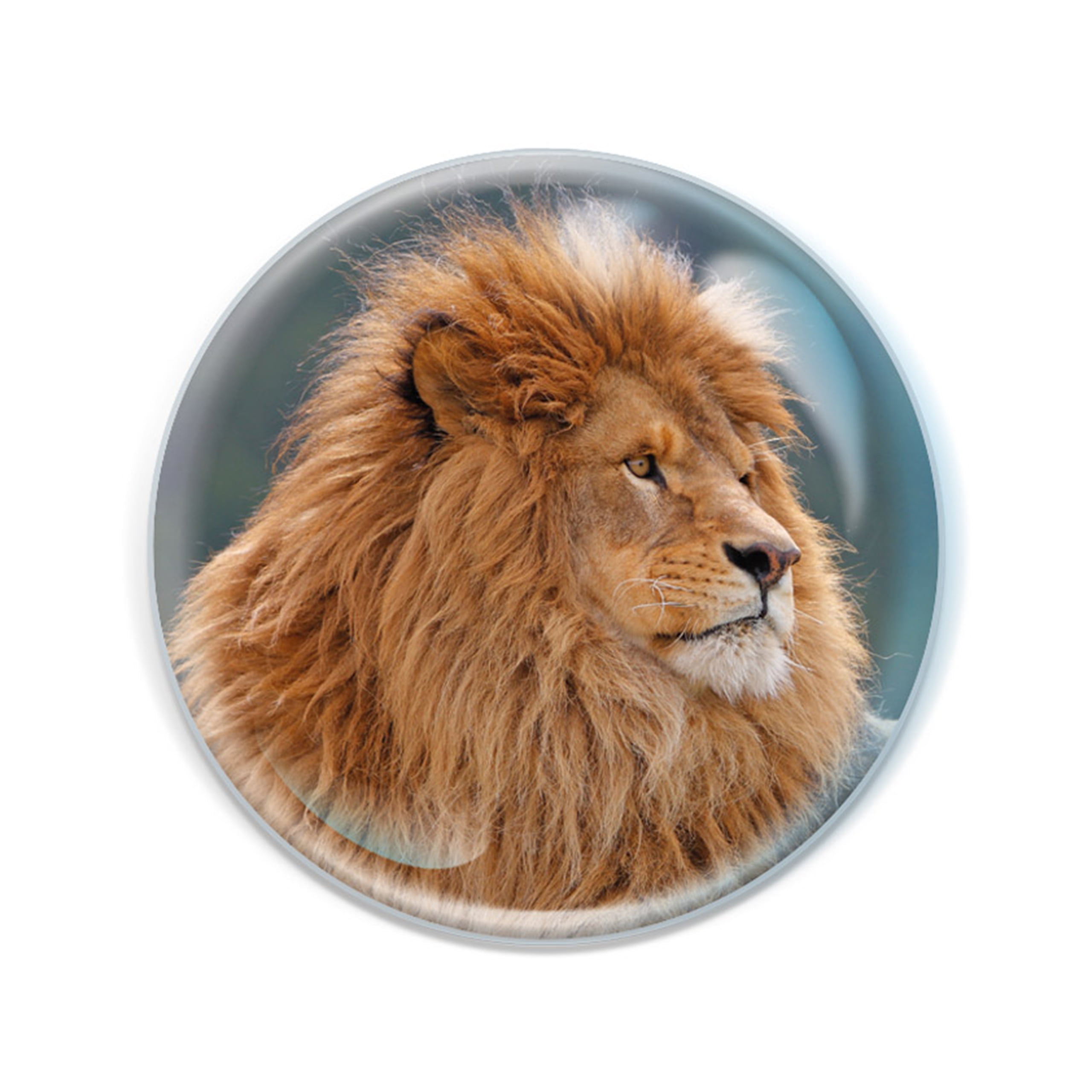 Magnidome - Lion Magnet from Deluxbase. Crystal Glass Fridge Magnet ...
