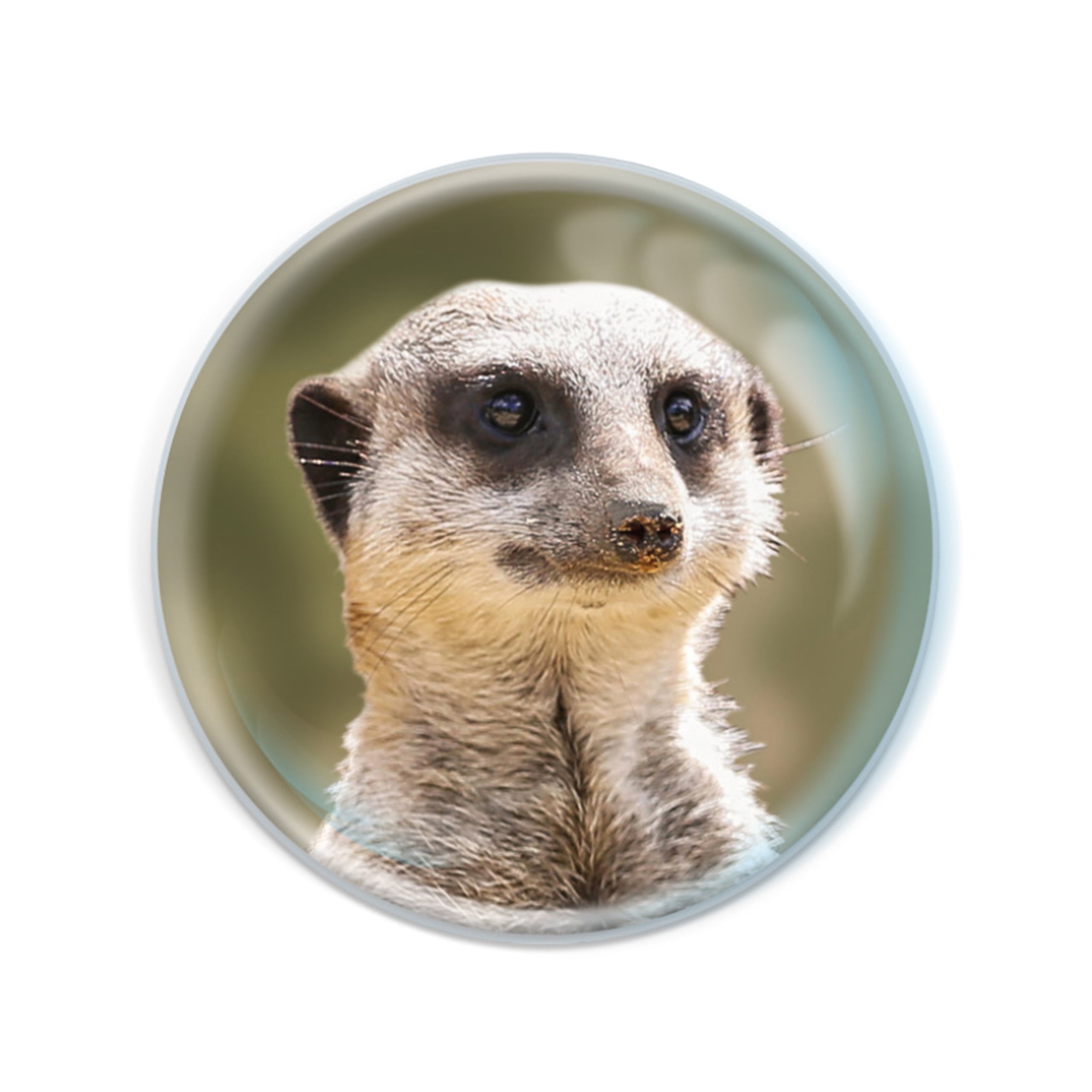 Magnidome Meerkat Magnet from Deluxebase Crystal Glass Fridge Magnet ...