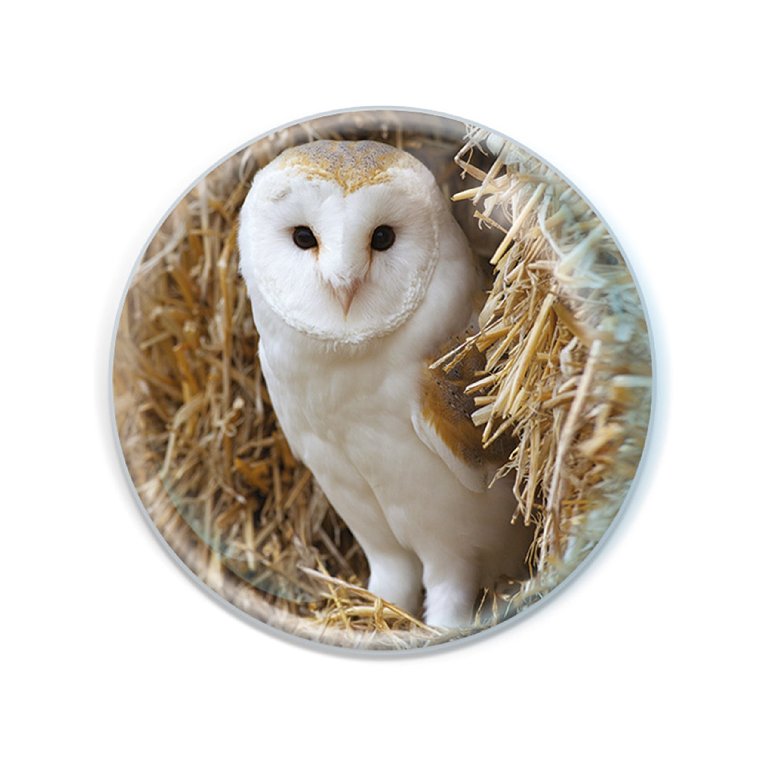 Magnidome - Owl Magnet from Deluxbase. Crystal Glass Fridge Magnet ...