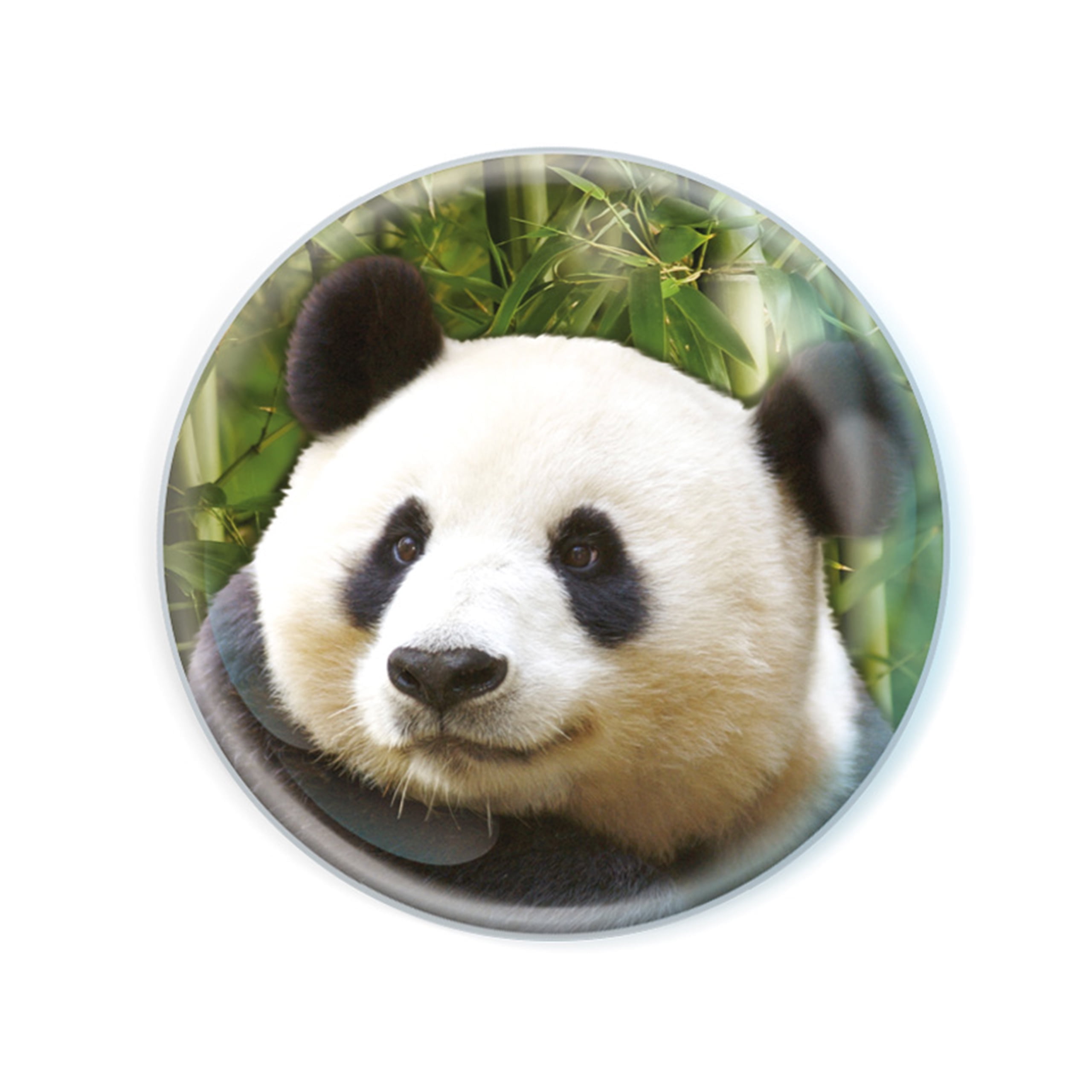 Magnidome Panda Magnet by Deluxebase – Crystal Glass Fridge & Locker ...