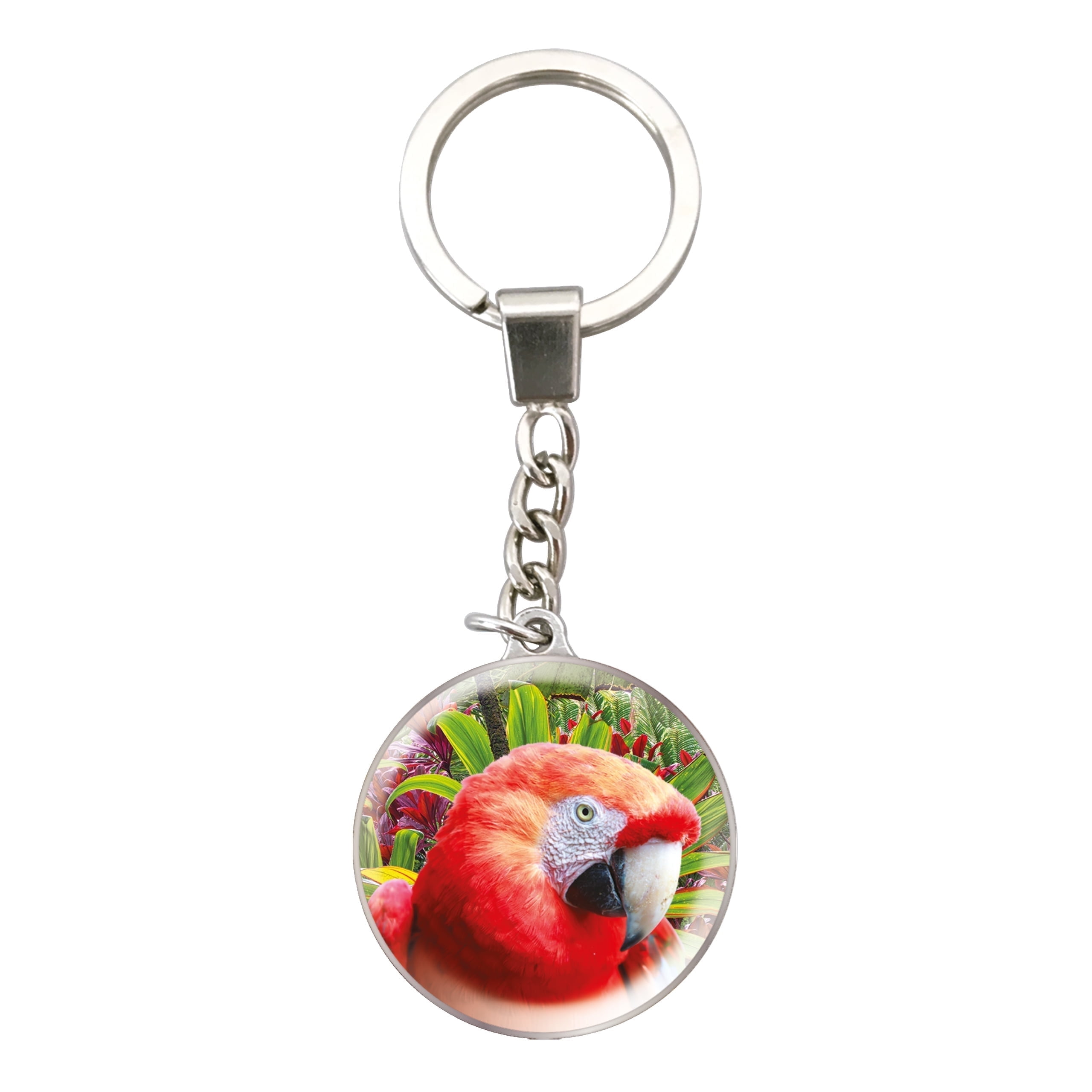 Magnidome Parrot Keychain by Deluxebase – Glass Dome Picture Key Ring ...