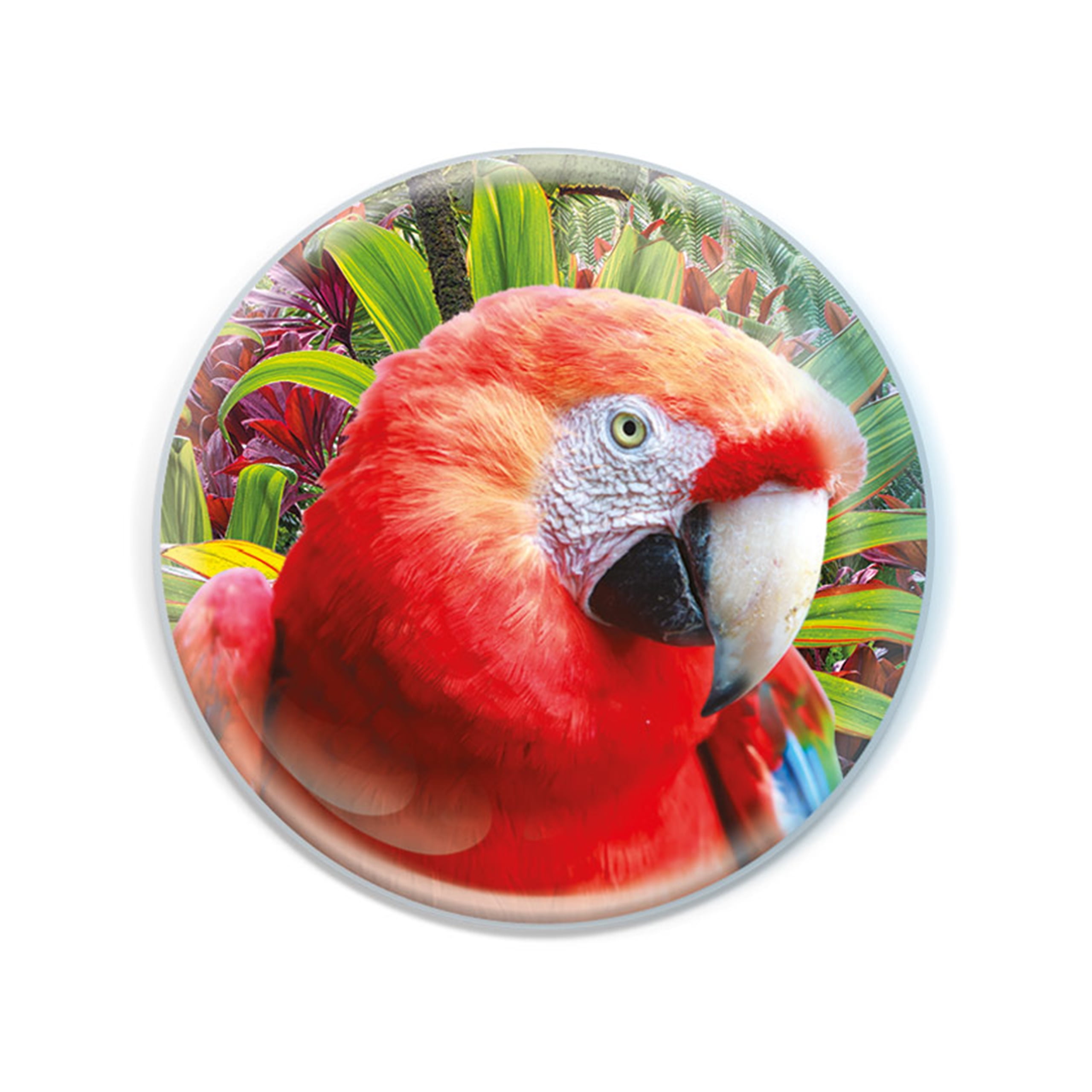 Magnidome - Parrot Magnet from Deluxbase. Crystal Glass Fridge Magnet ...