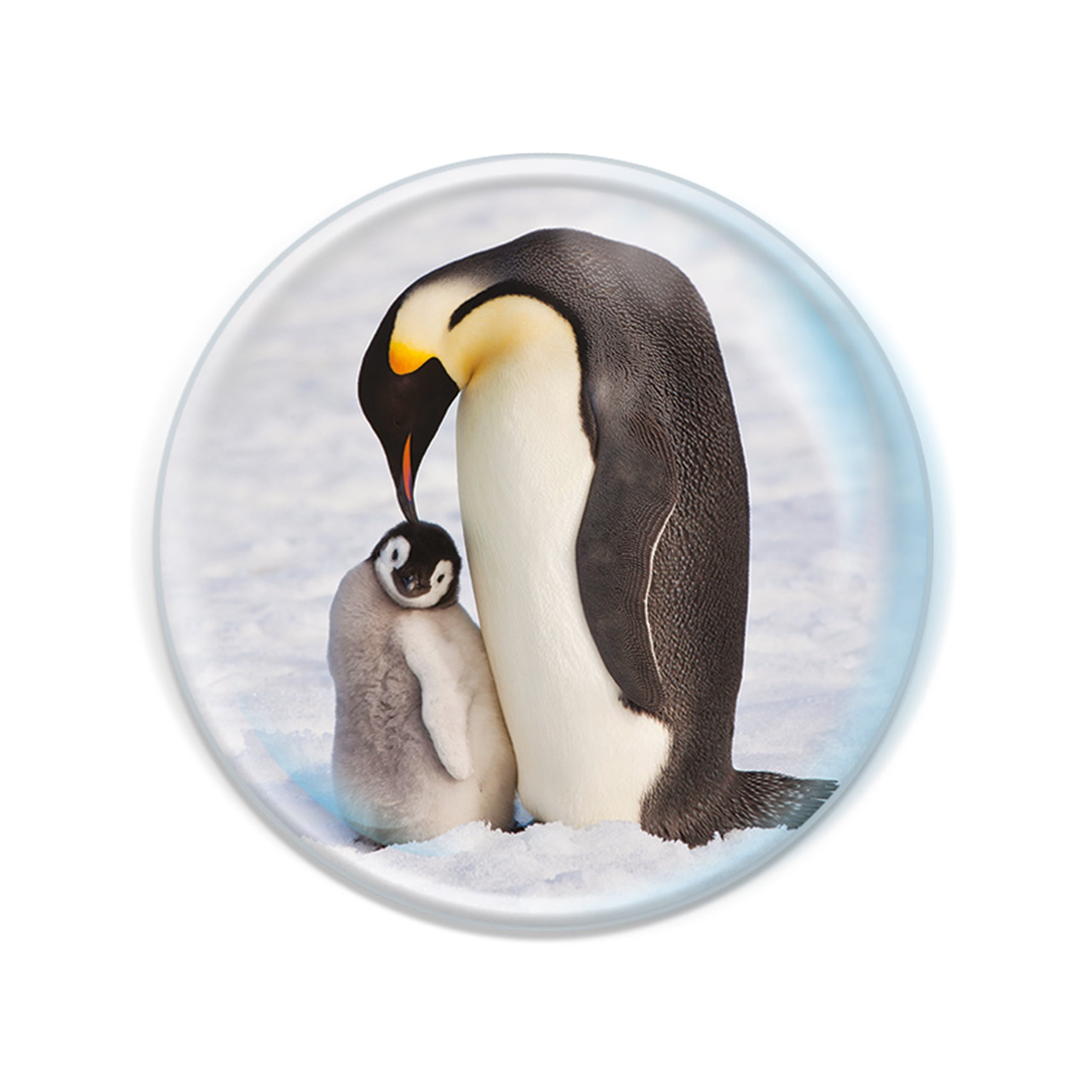 Magnidome - Penguin Magnet from Deluxbase. Crystal Glass Fridge Magnet ...