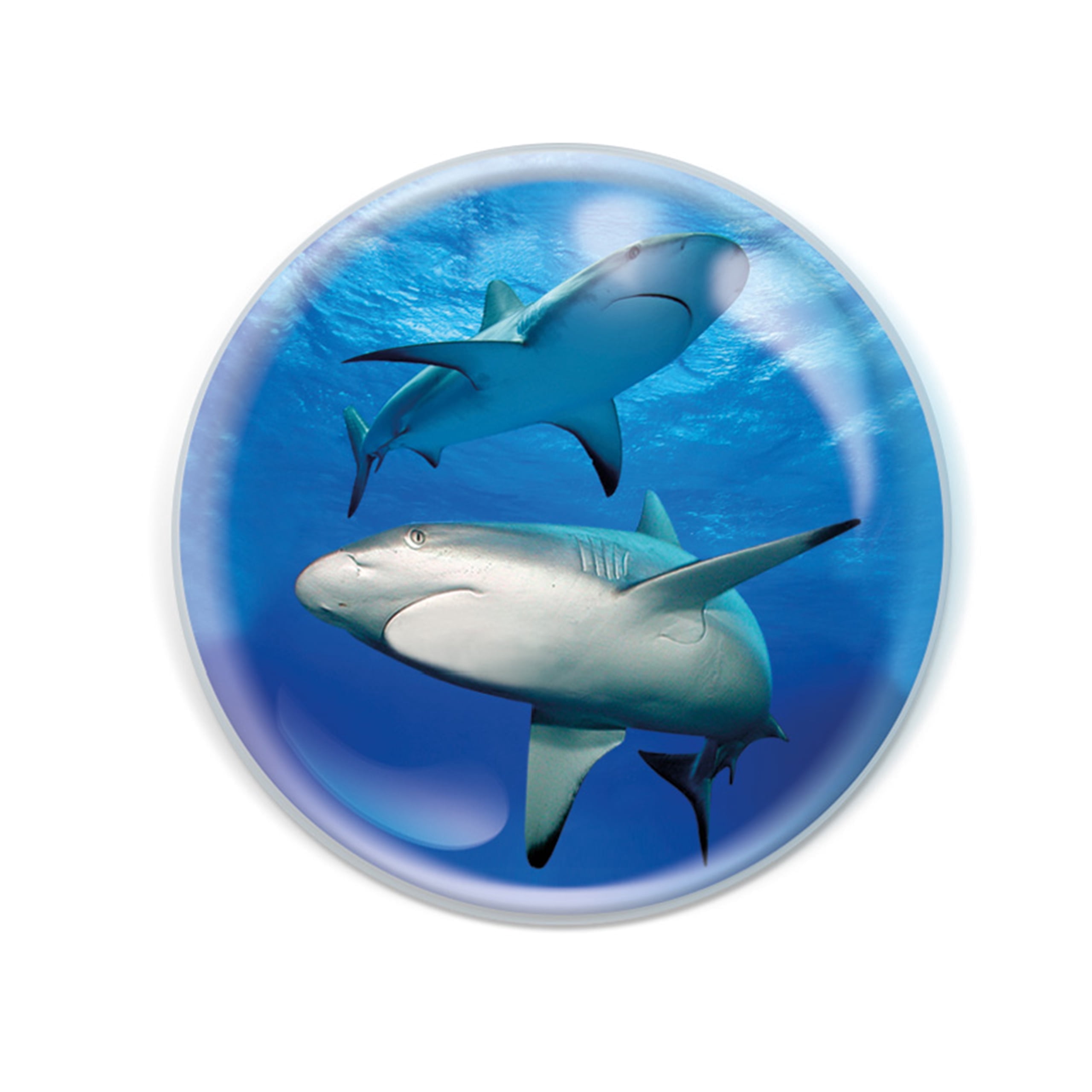Magnidome Shark Magnet from Deluxebase. Crystal Glass Fridge Magnet for ...