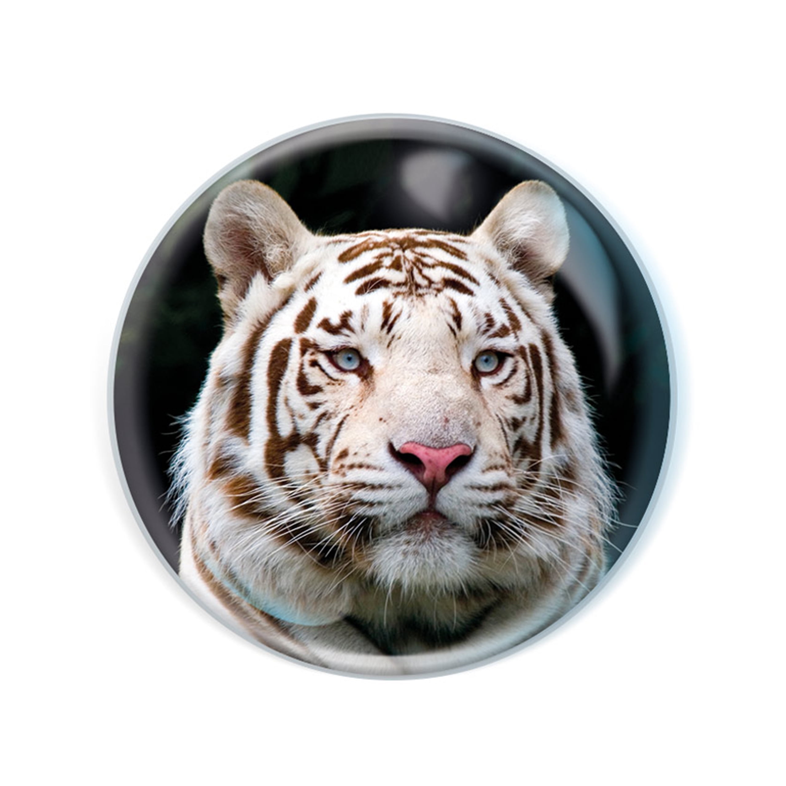 Magnidome - White Tiger Magnet from Deluxbase. Crystal Glass Fridge ...