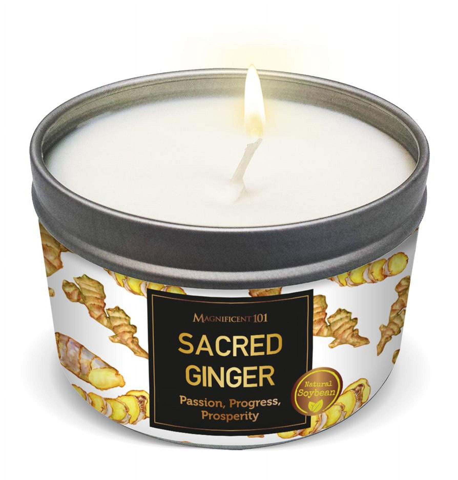 Magnificent 101 Long Lasting Sacred Ginger Scented Candle | 6 Oz - 35 ...