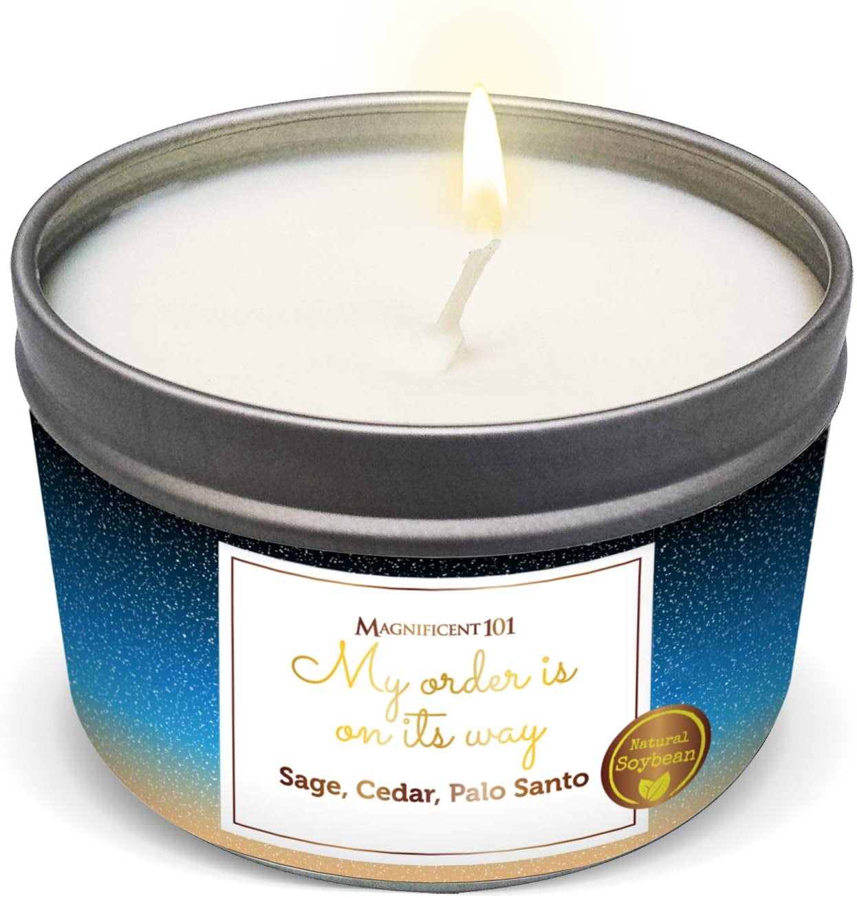 Magnificent 101 Long Lasting Sage, Cedar & Palo Santo Smudge Candle | 6 Oz - 35 Hour Burn | Soy ...