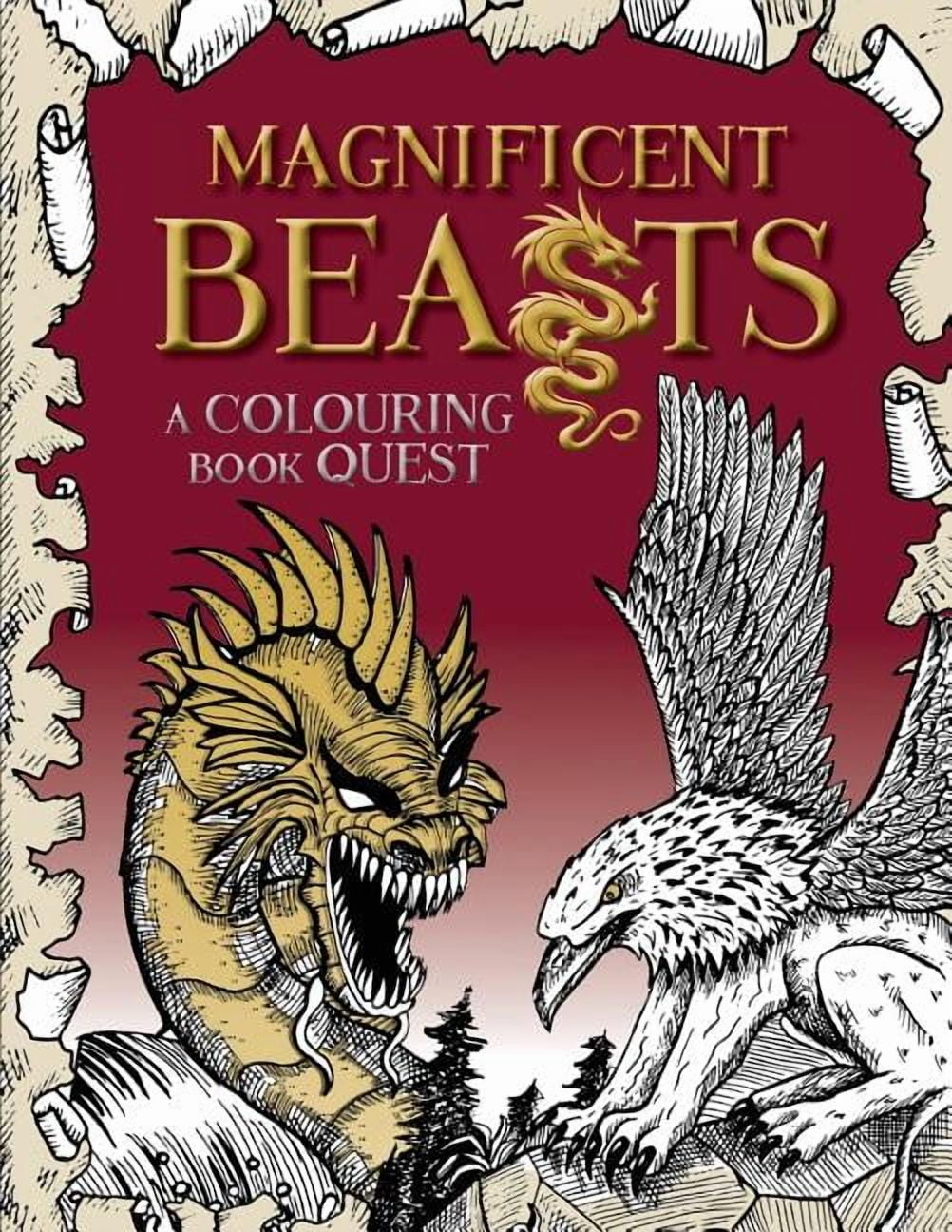 Magnificent Beasts: A Colouring Book Quest, (Paperback) - Walmart.com