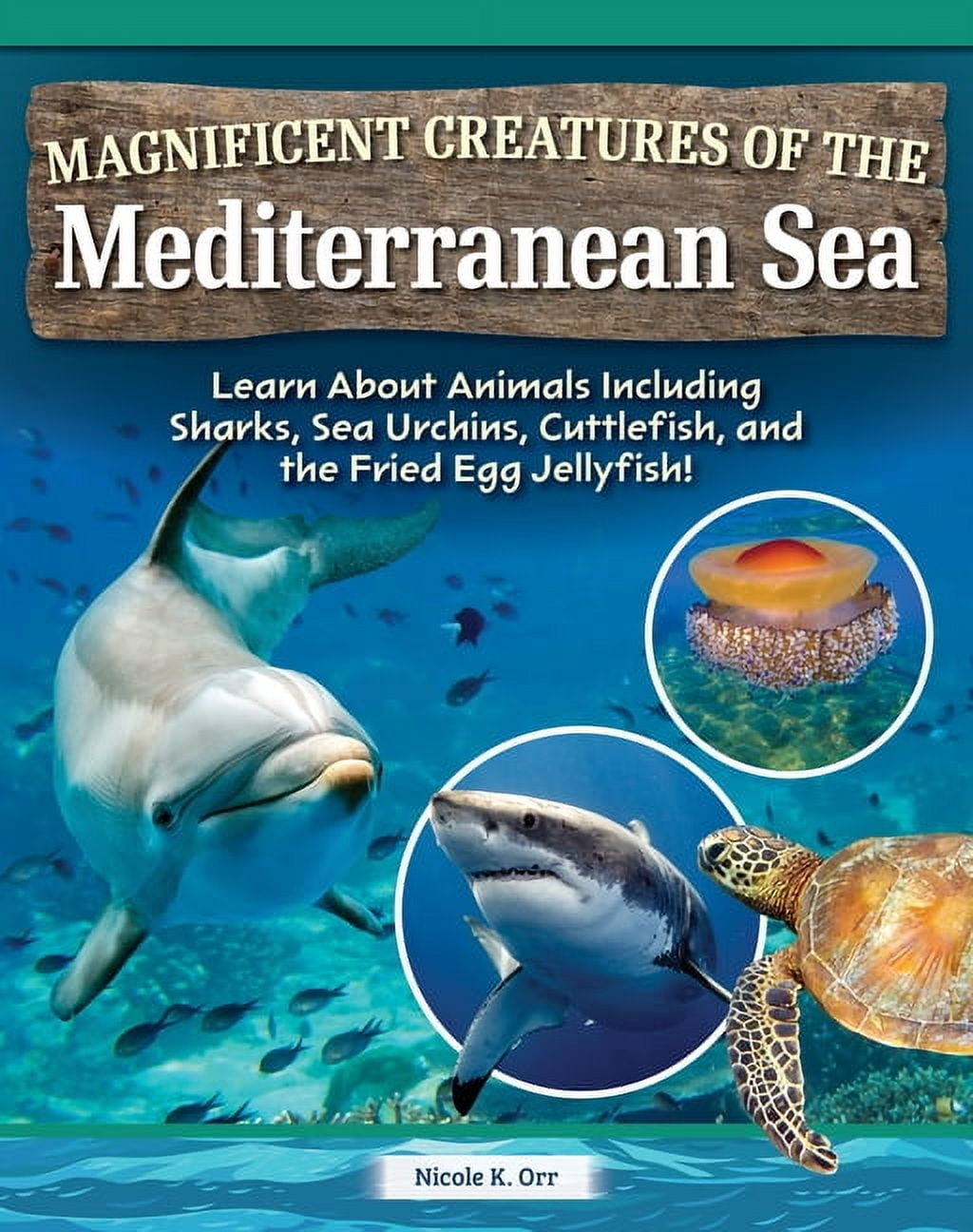 Magnificent Creatures of the Mediterranean Sea: Learn about Animals ...