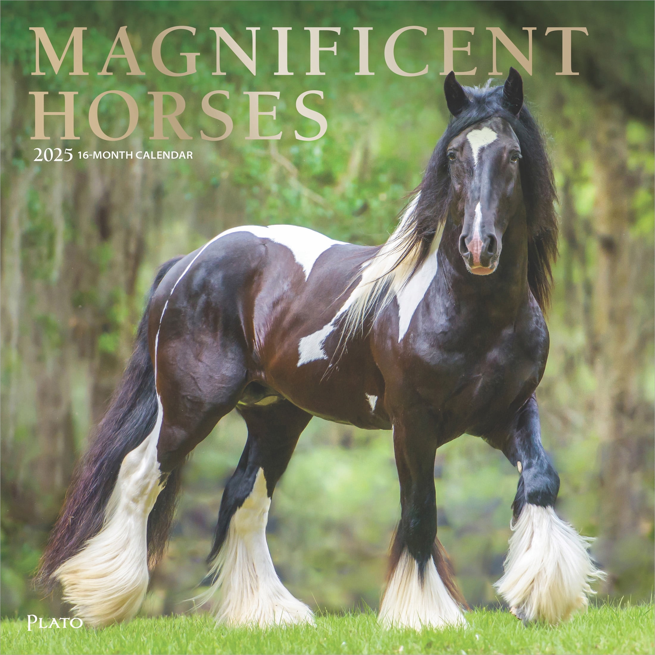 Magnificent Horses | 2025 12x24 Magnificent Horses | 2025 12x24