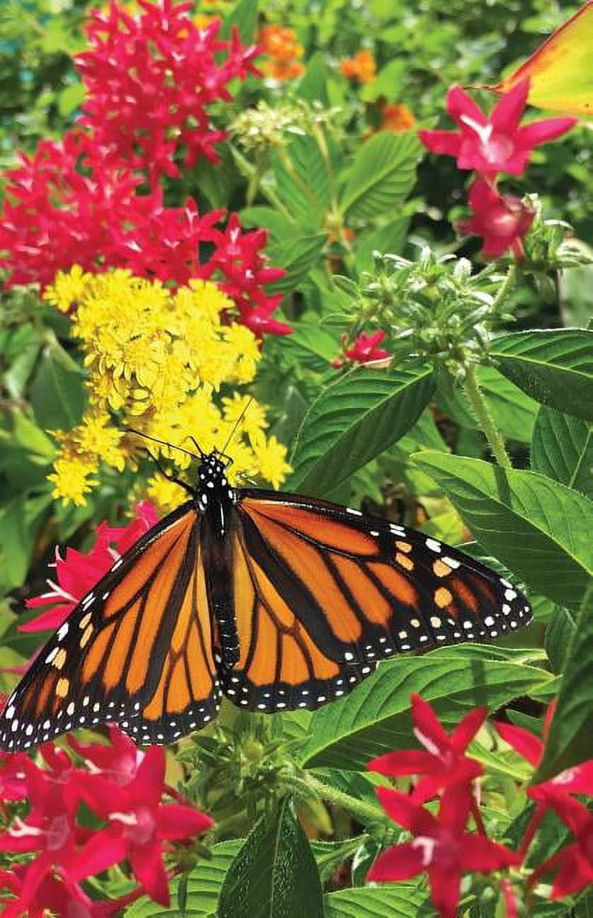 Magnificent Monarch Butterfly Dot Grid Journal: Dotted Paper Journal ...