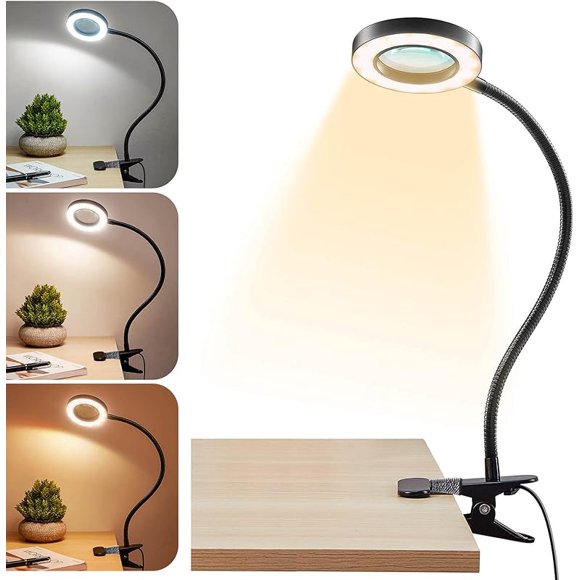 Magnifying Work Light